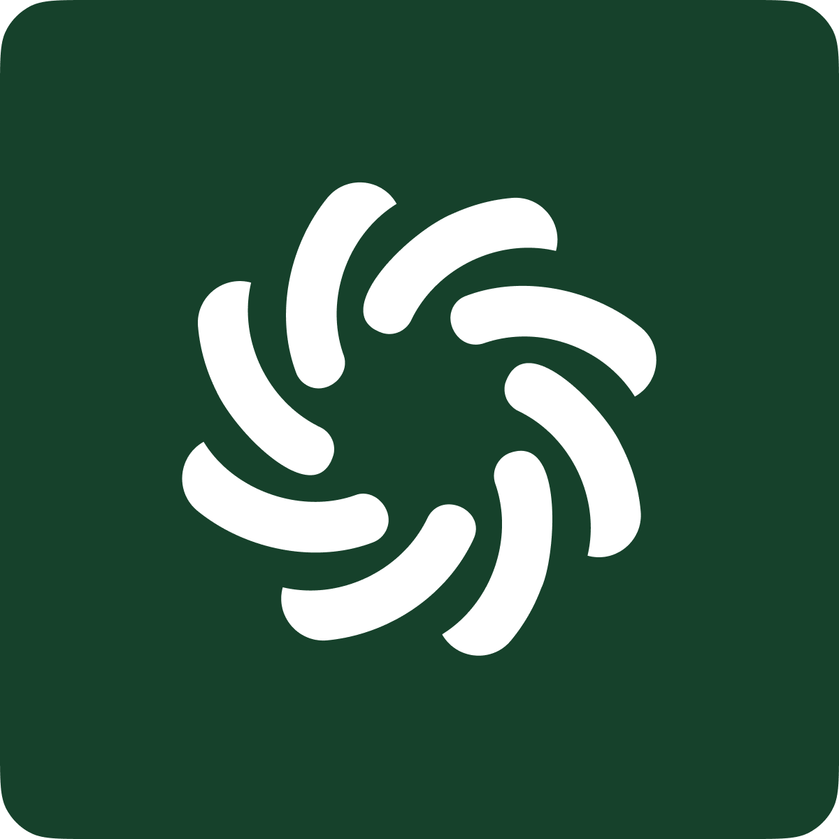 Kizen’s Custom Application Builder